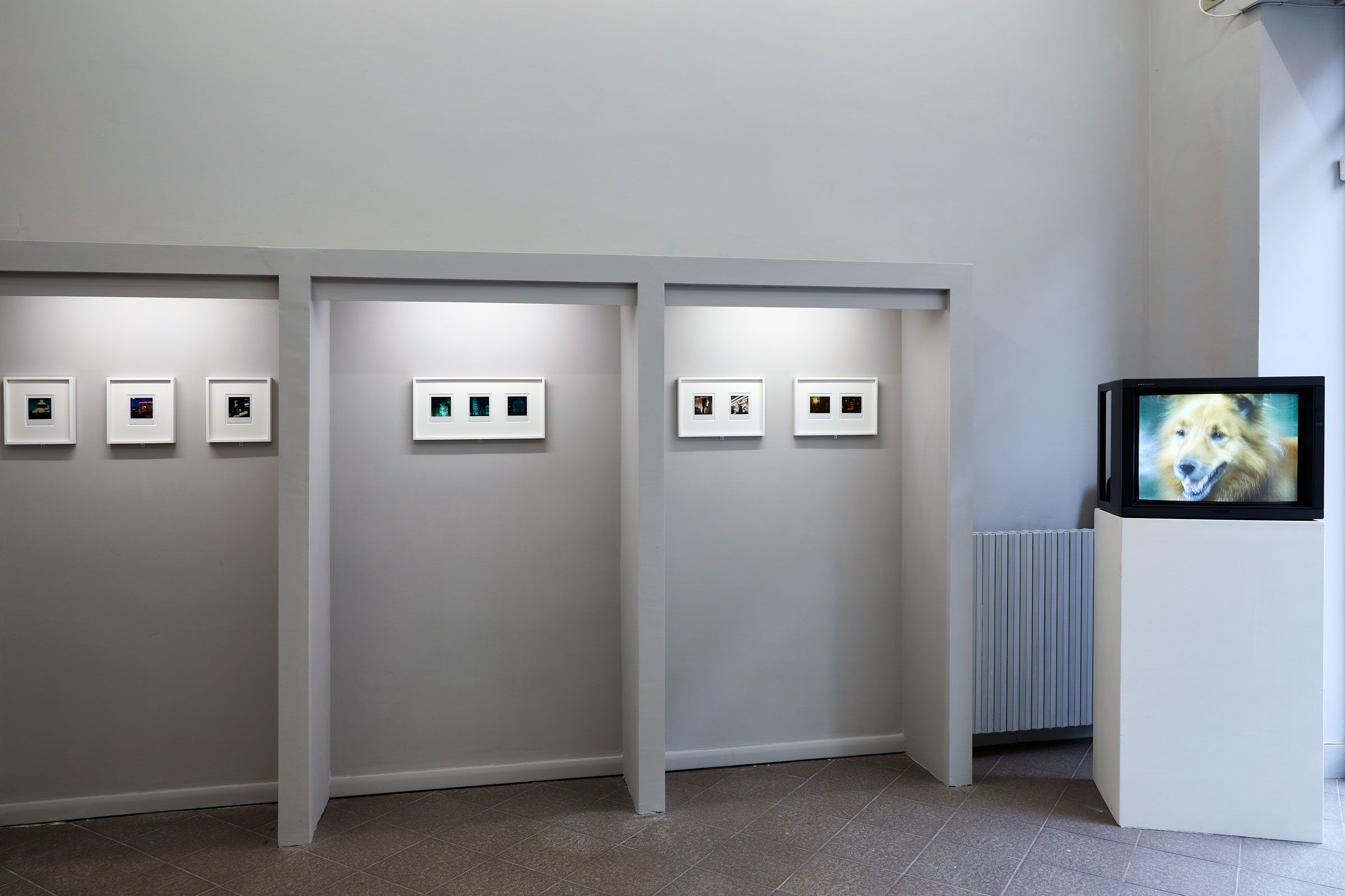 Exhibits/Press | Robby Müller Archive