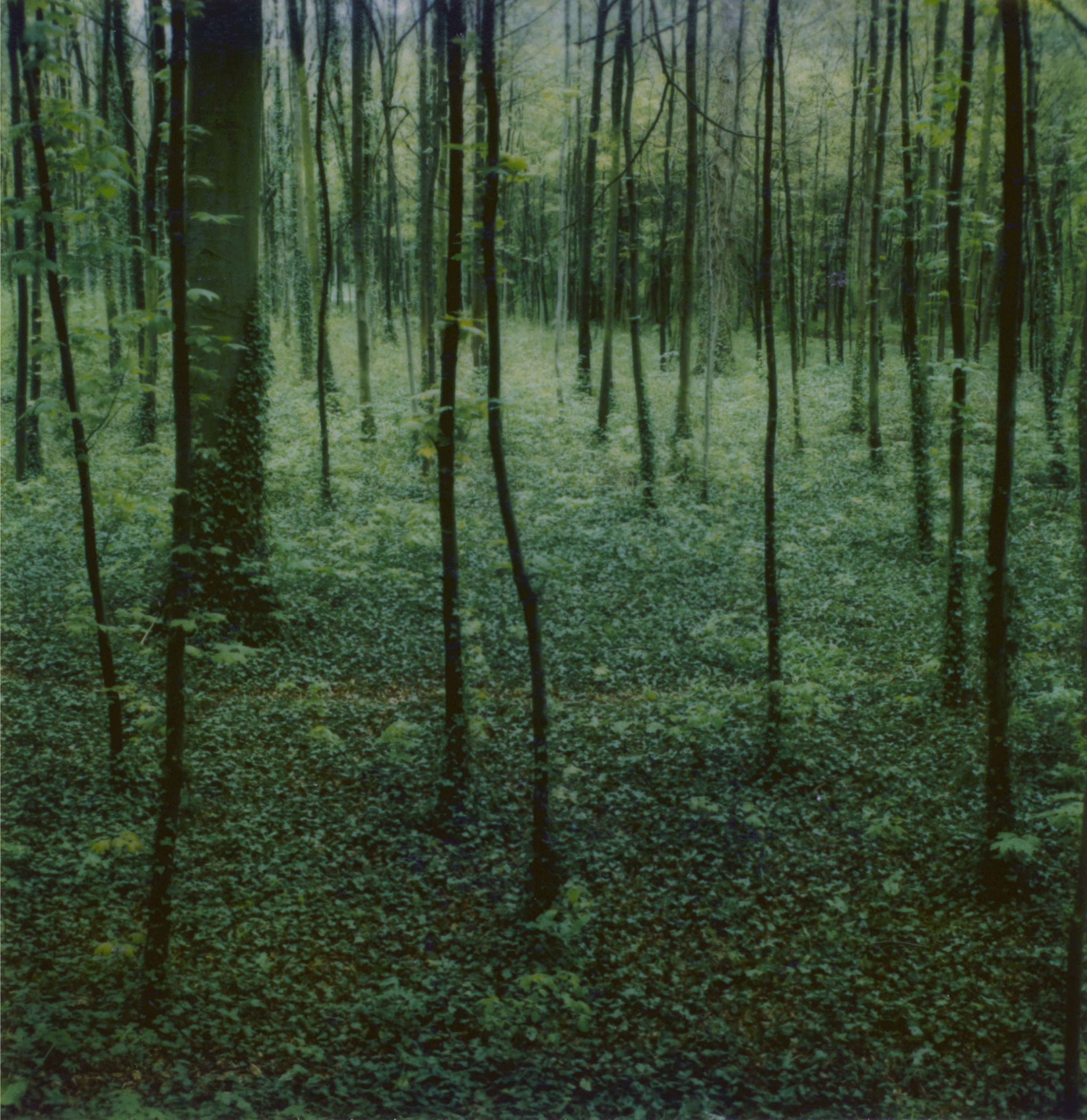 Robby Müller Archive